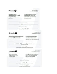 Master Business License (Register or Renew ) in Ontario