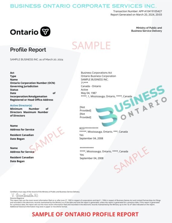 Corporation Profile Report: Comprehensive Insights & Analysis